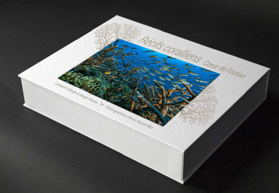 Discover this beautiful book on coral reefs