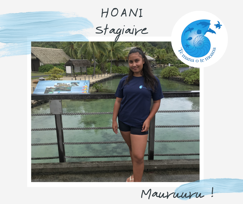 Découvrez Hoani, notre nouvelle stagiaire