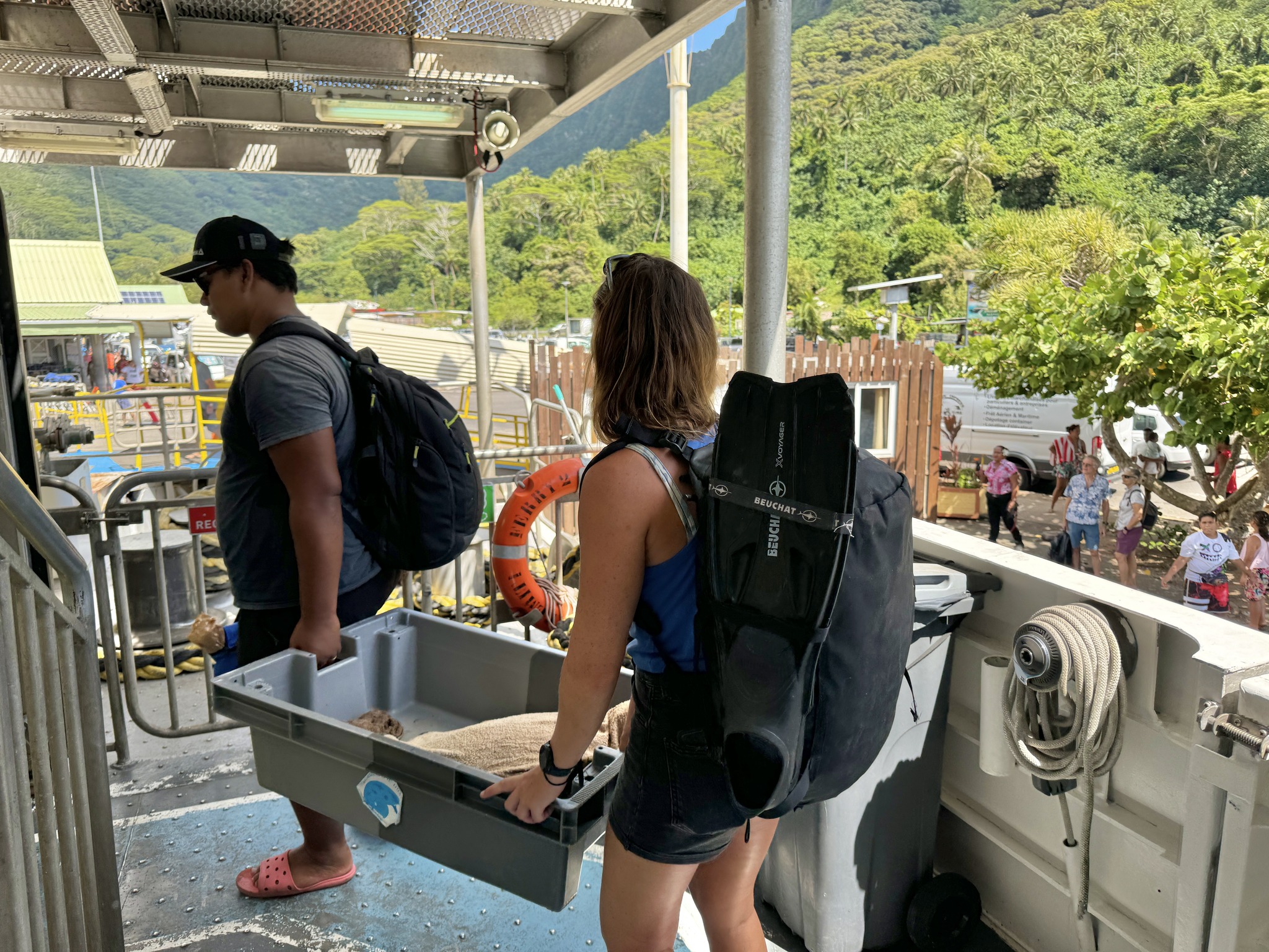 Transporting a turtle aboard Tauati ferry